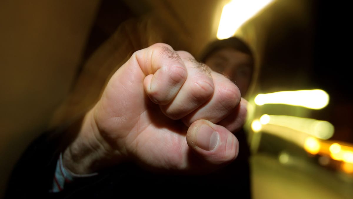 16-jähriger prügelt Lokführer zu Boden