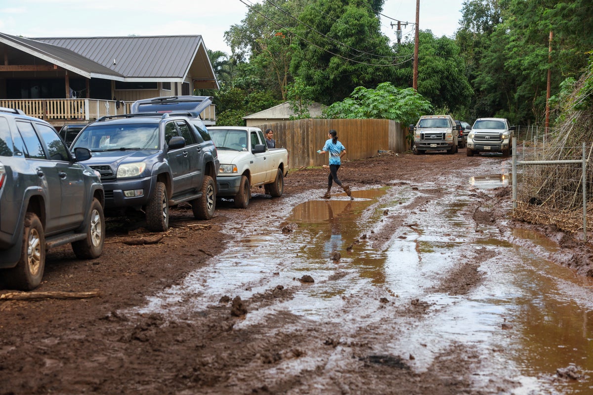 Analysis shows 5 major US home insurance firms only paid 50% of claims
