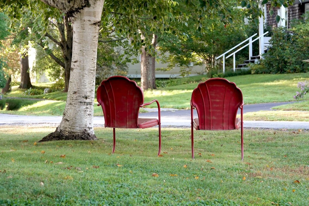 Things you should never do to your lawn in summer — one is universal