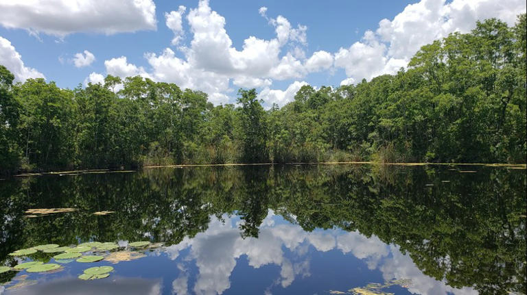Between Tampa and Gainesville is Florida's once-thriving lumber town ...