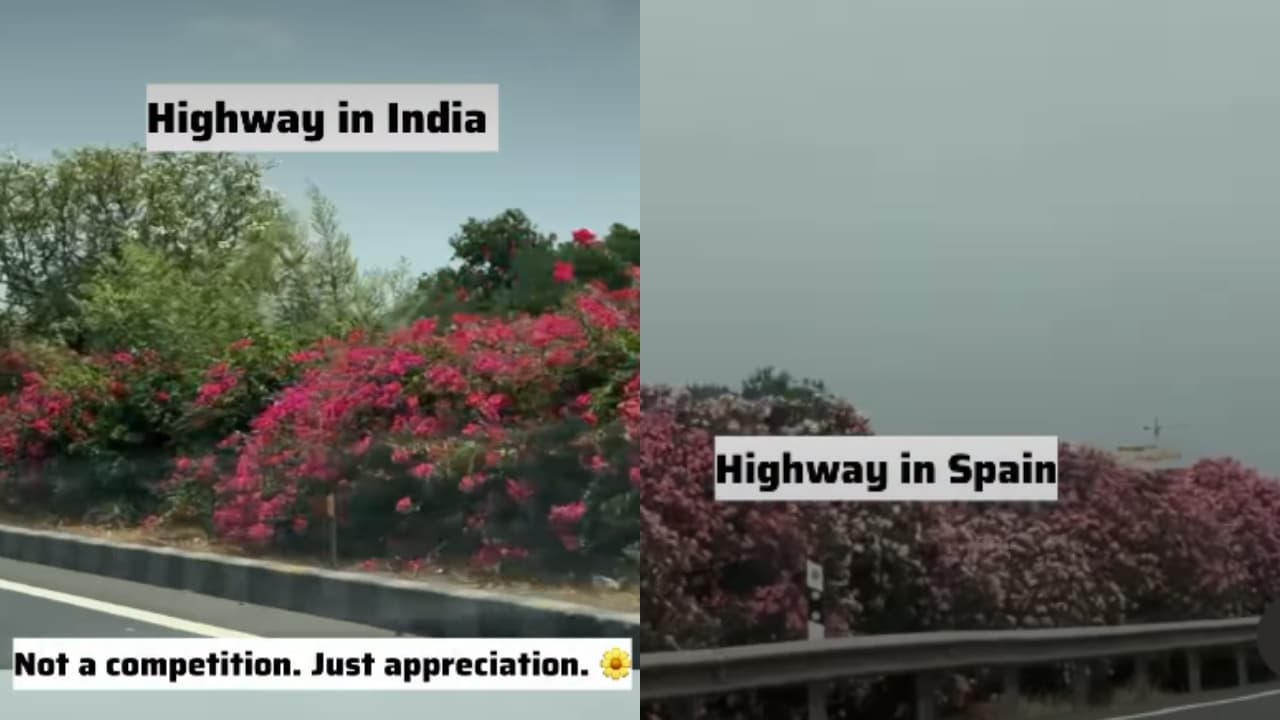 We're getting there: Europe trip changes Indian woman's view of India's ...