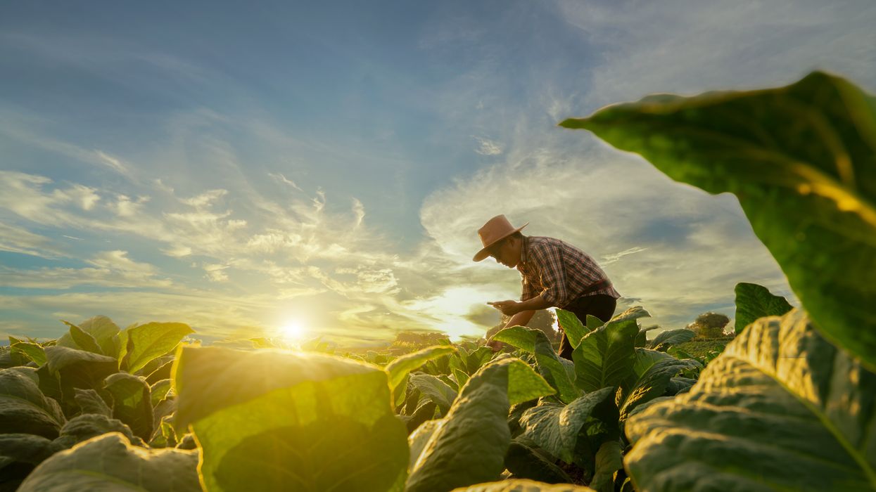 Ex-Trump aide says president 'punched farmers in the mouth' and GOP ...