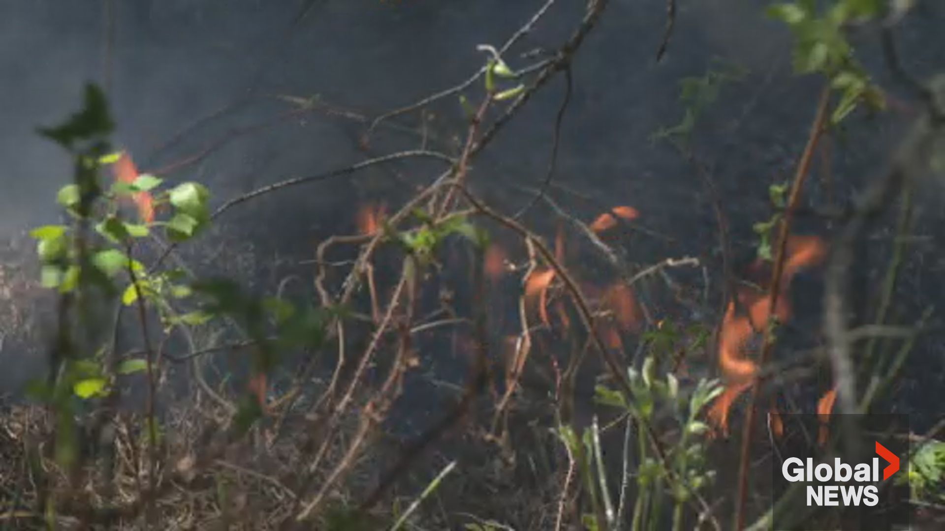 Saskatchewan facing heat warnings, poor air quality due to wildfires