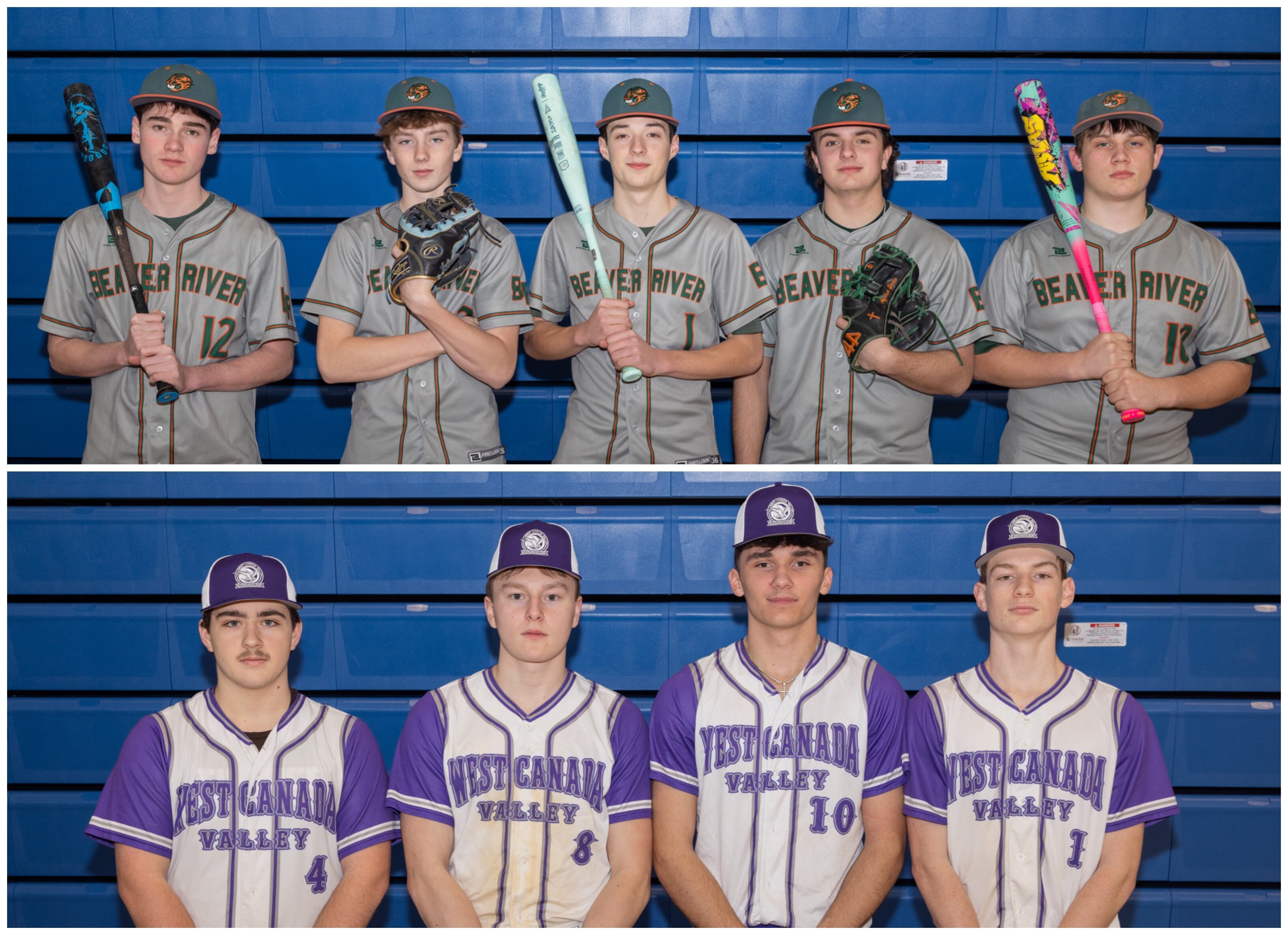 Breakdown, predictions for Beaver River, West Canada Valley in Section ...