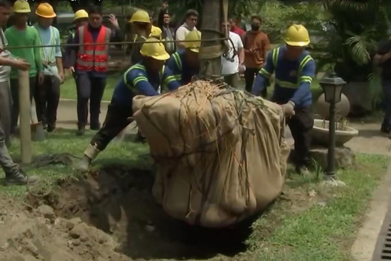 Explainer: What is earth-balling?