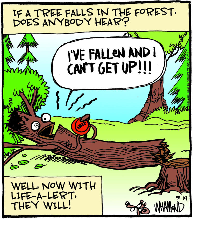 Reality check by Dave Whamond