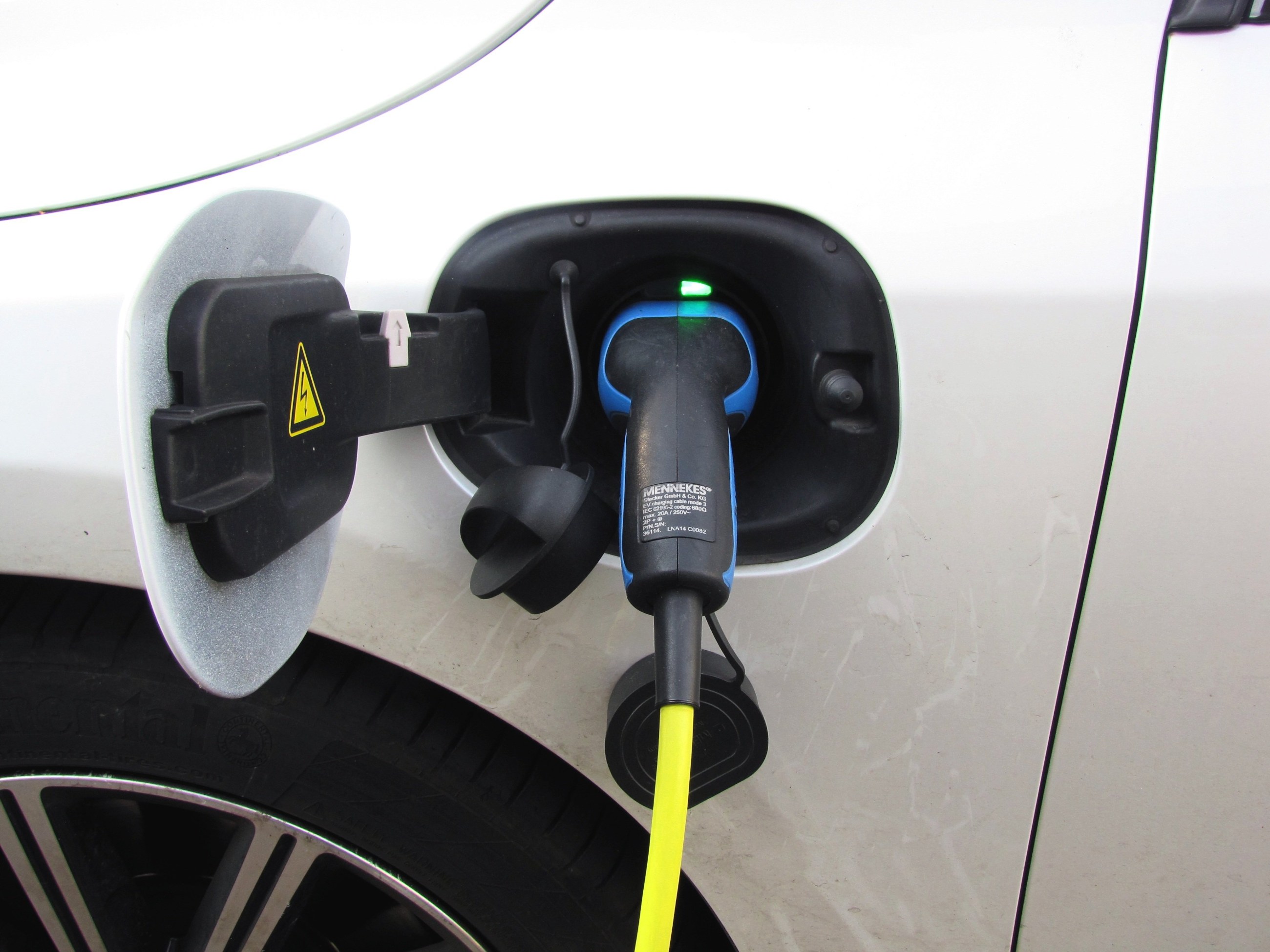 Pożary aut elektrycznych. Straż pożarna udostępniła dane