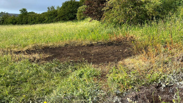 Police cordon lifted after chemicals found in field