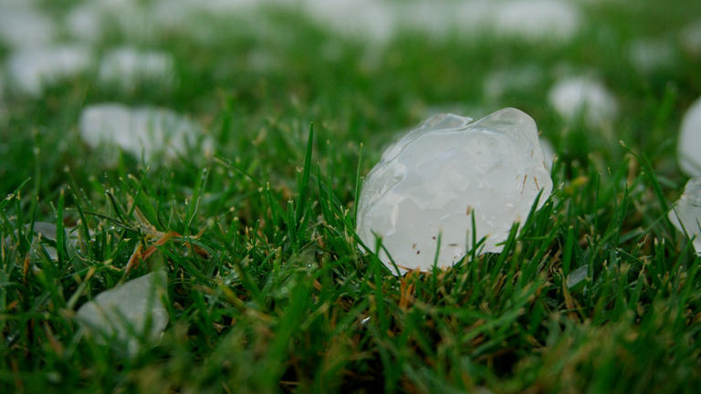 A new Nature study just connected warming temperatures to bigger ...