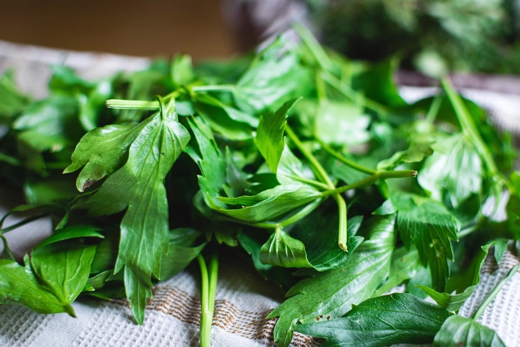 Save money by growing your own kitchen herbs
