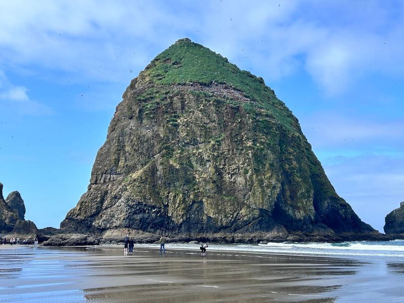 Oregon’s most photographed rock has 235 feet of basalt, tufted puffins ...