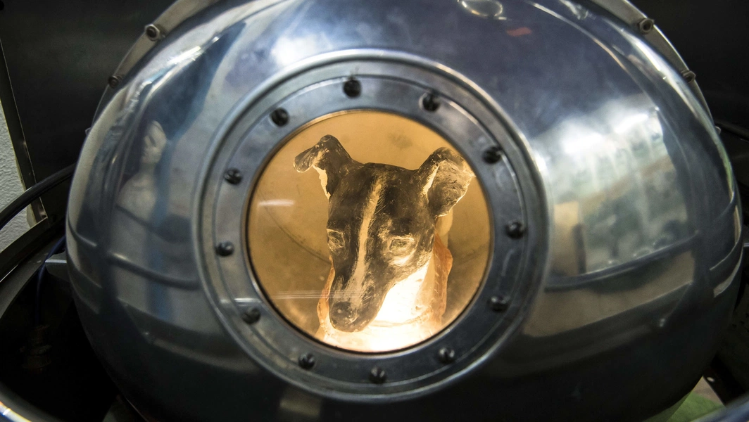 10 most famous animals in history and culture