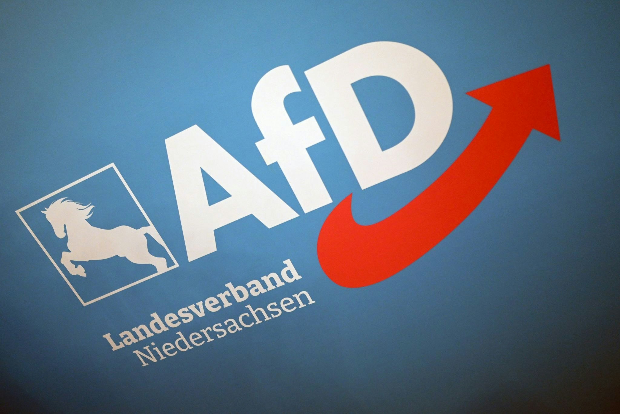 Hammer-Urteil gegen AfD: Gericht attestiert verfassungsfeindlich ...