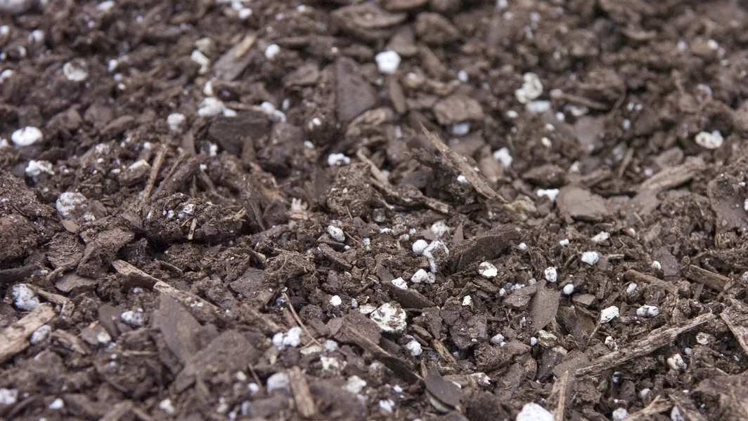 Soil secrets every plant parent should know
