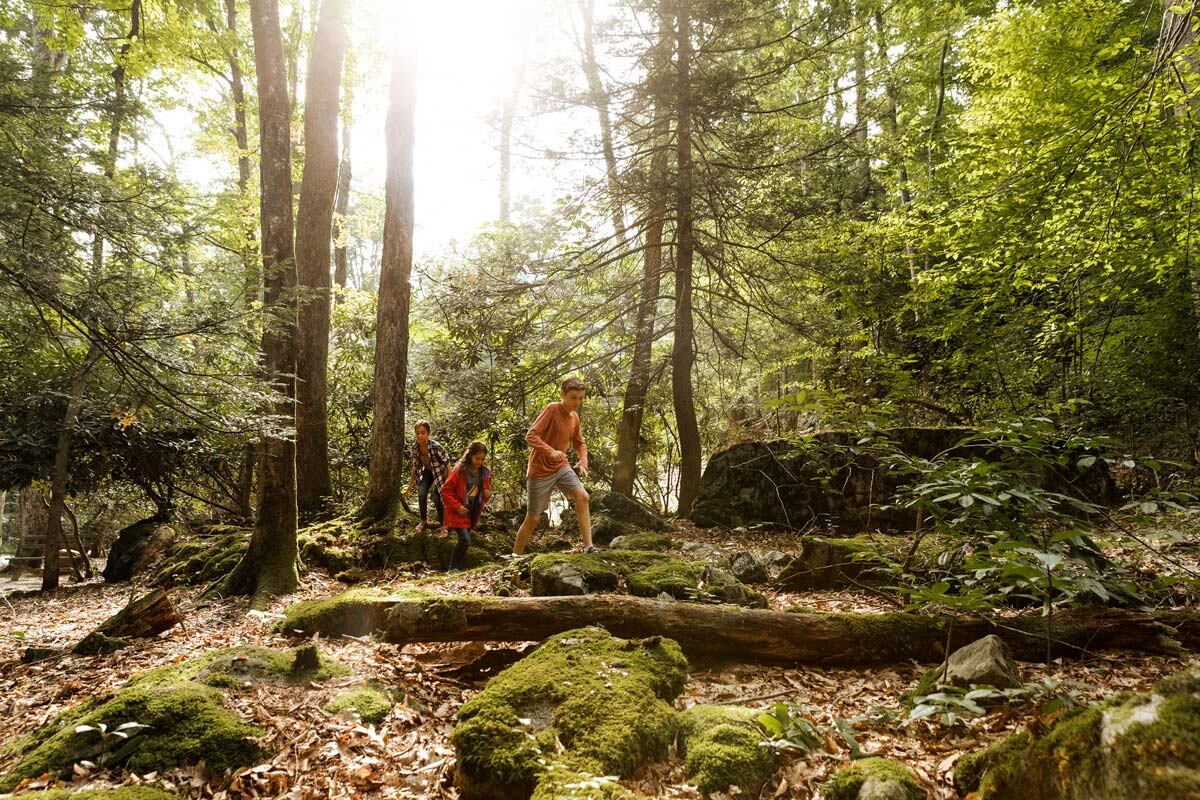 West Virginia State Parks announces guided hikes, trail cleanups for ...