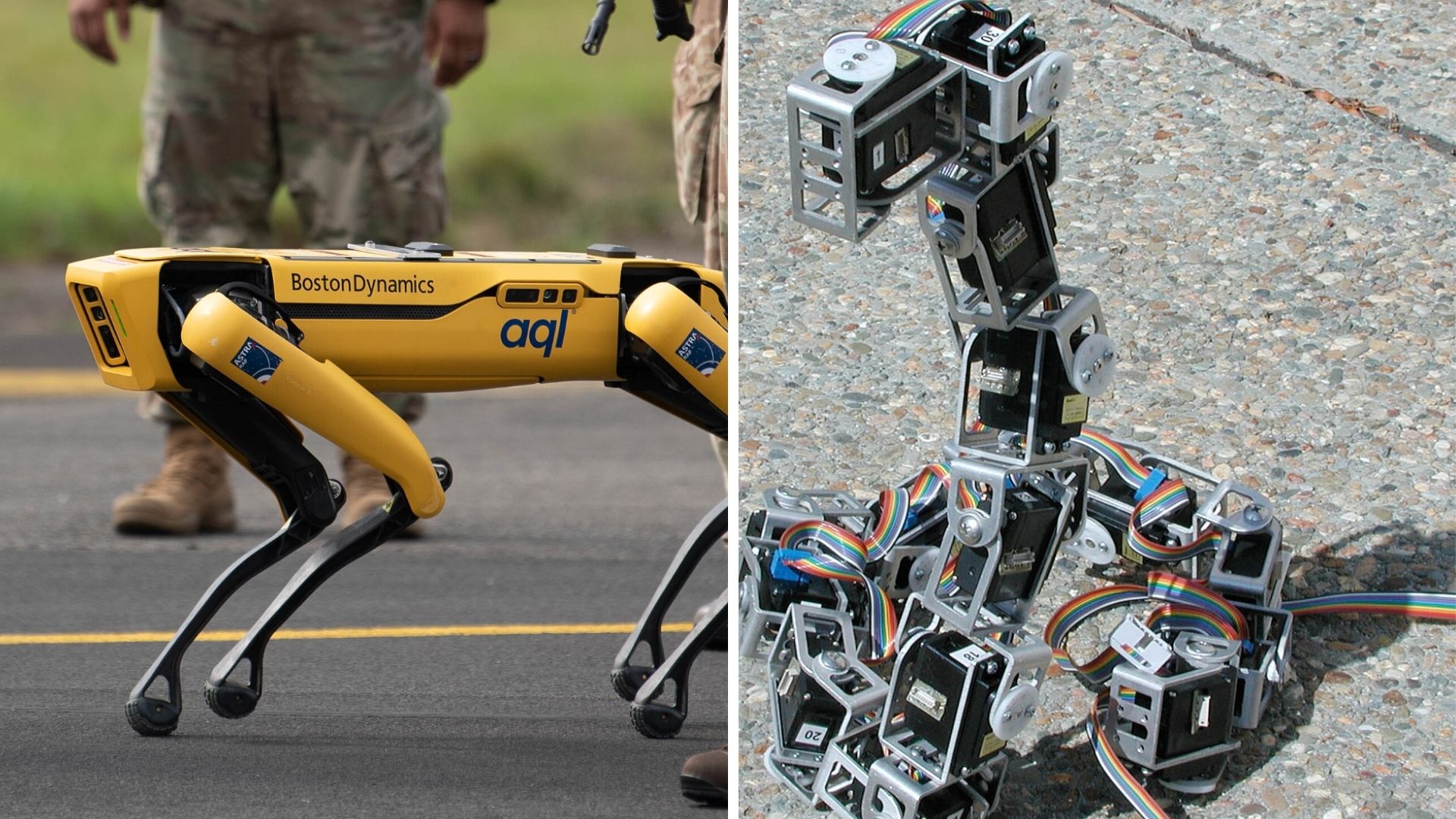 7 animal-inspired robots solving real-world engineering challenges