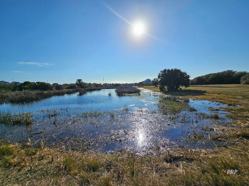 This Texas boardwalk trail takes you through a hidden bird sanctuary ...