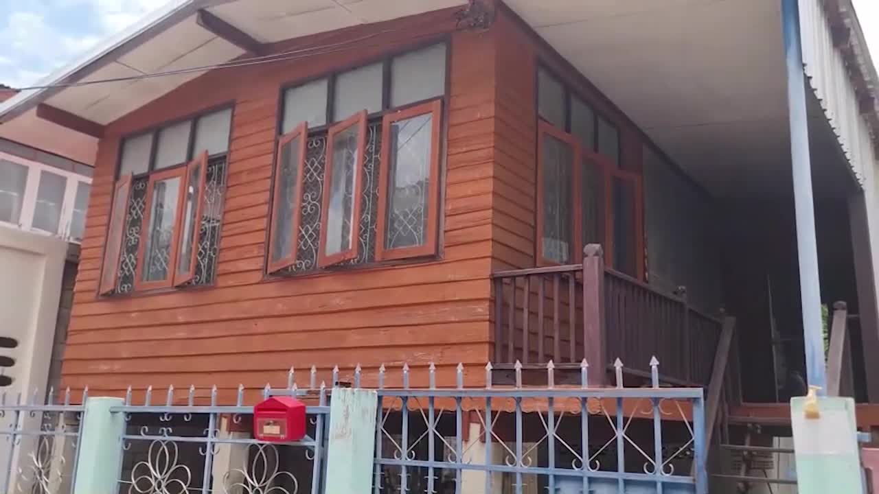 Cat lover spends her life savings to buy entire house for her beloved pets
