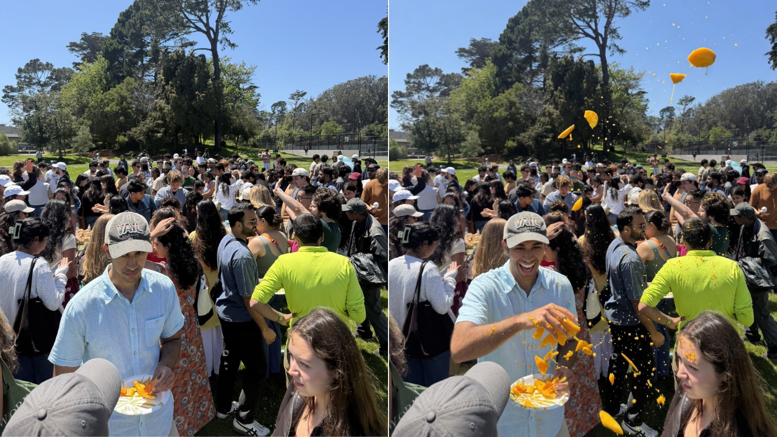 'Best mangoes I've ever had': San Francisco's Indian mango party ...