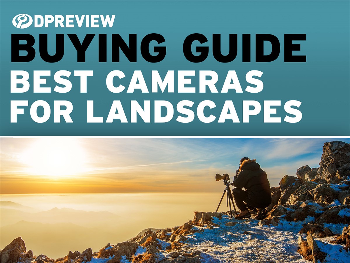 Best cameras for landscape photography in 2026