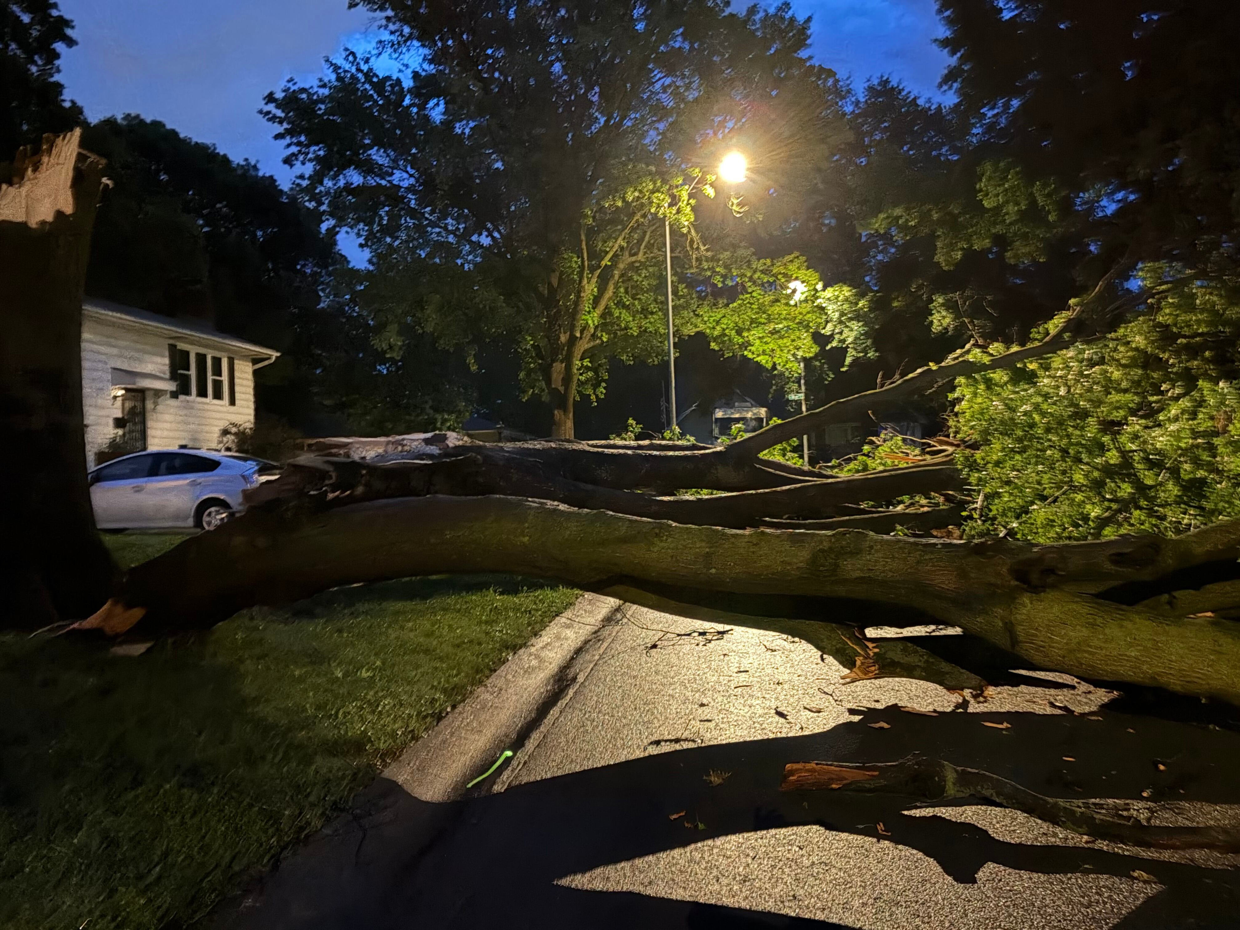 Photos: Overnight storms in Kansas City bring wind damage, trees down