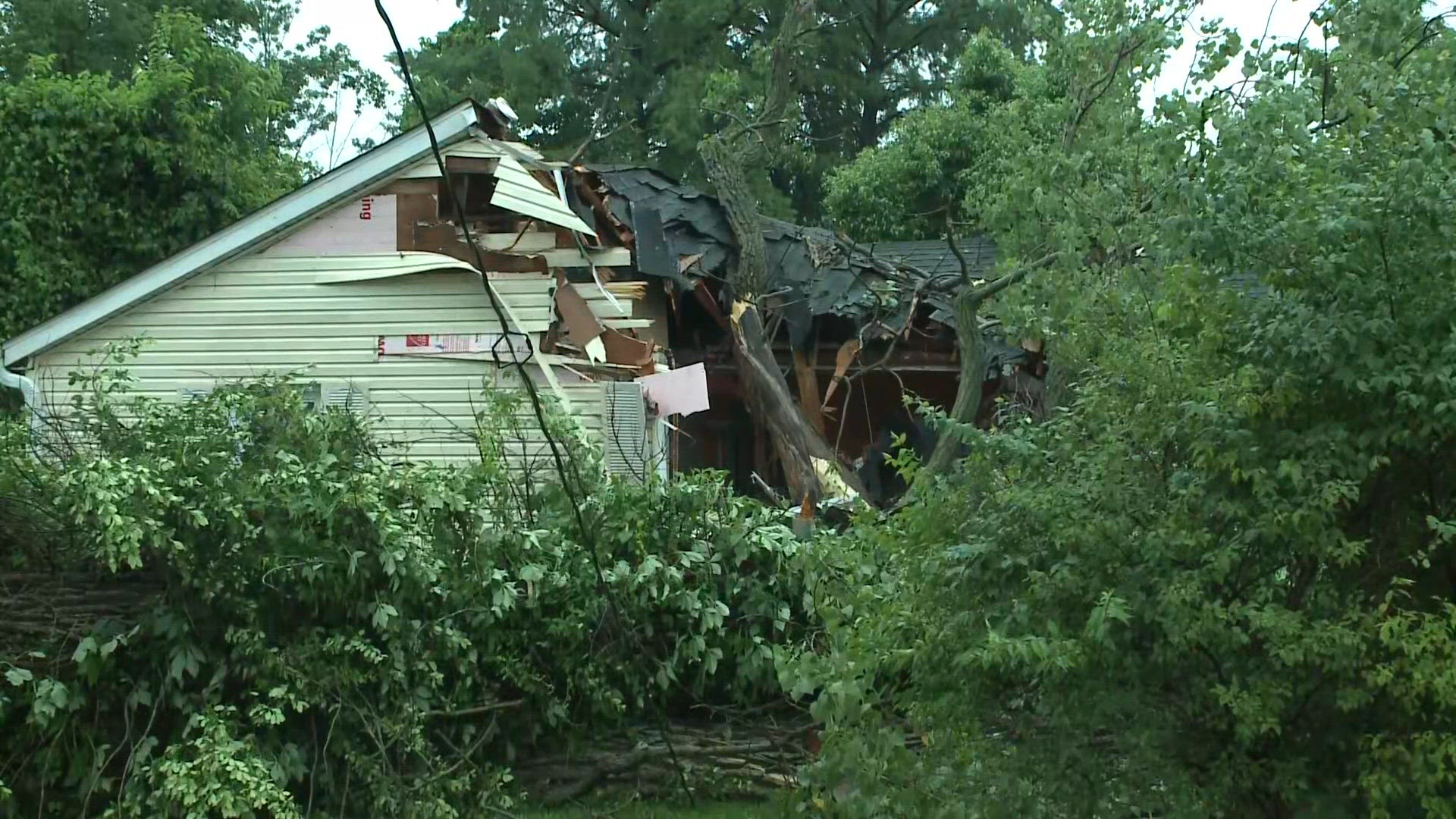 Tree falls onto home near Maryland Heights