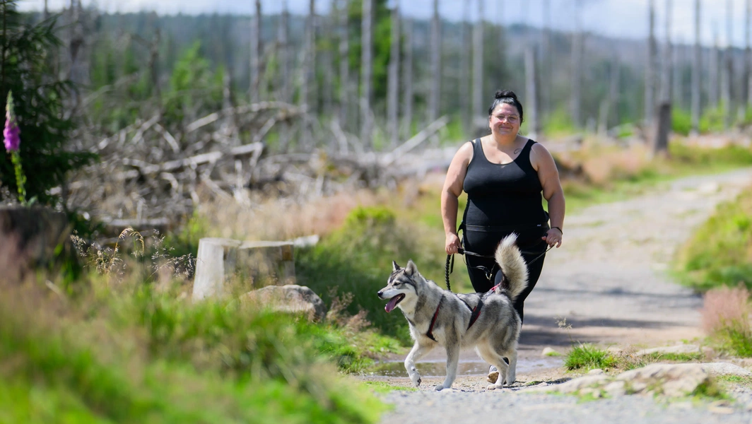Trail-ready dogs make every hike better