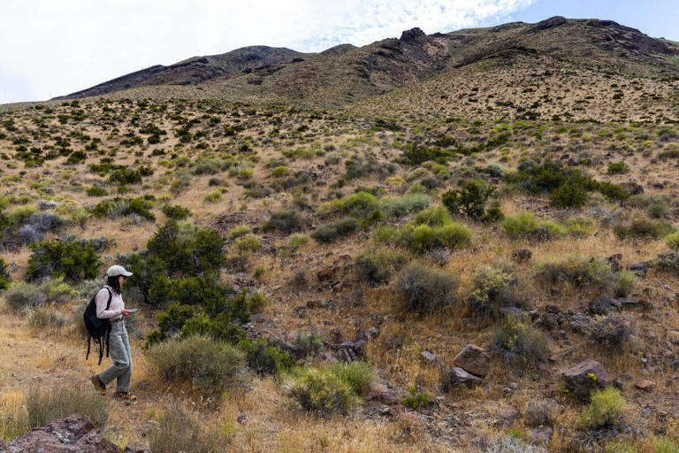 Gold mines may give Southern Nevada town a second act