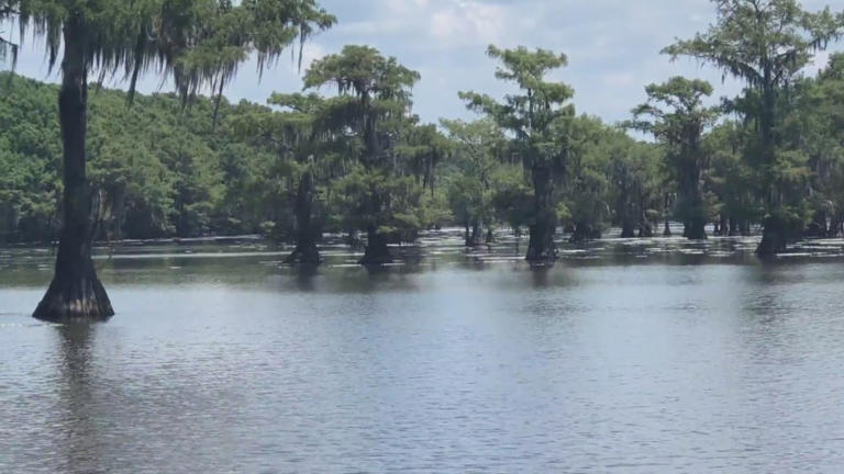 Sportsman’s paradise: Top 3 fishing spots near Shreveport/Bossier