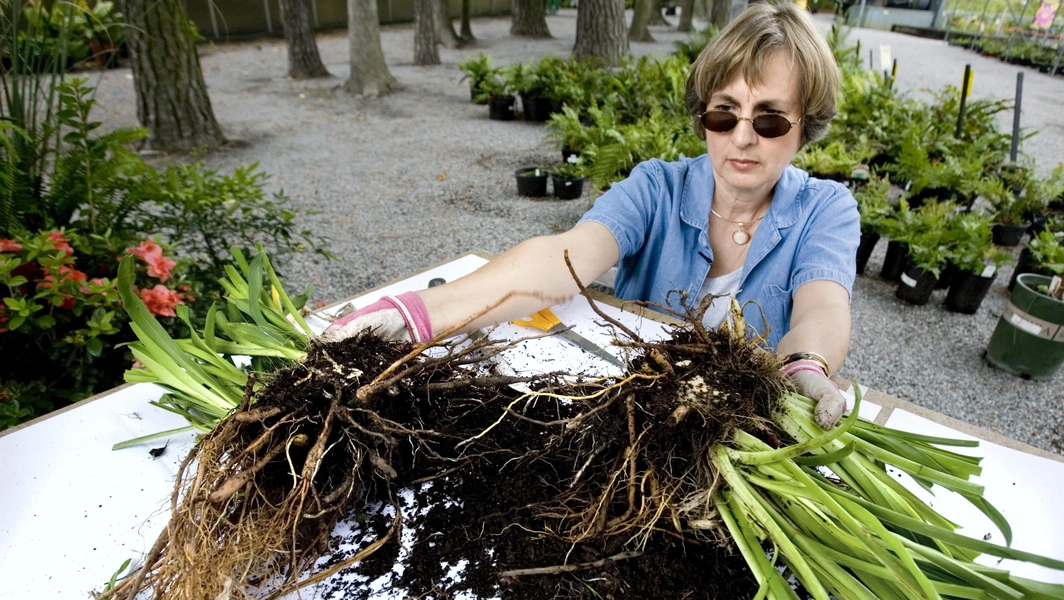 Fall landscaping tips for a gorgeous spring
