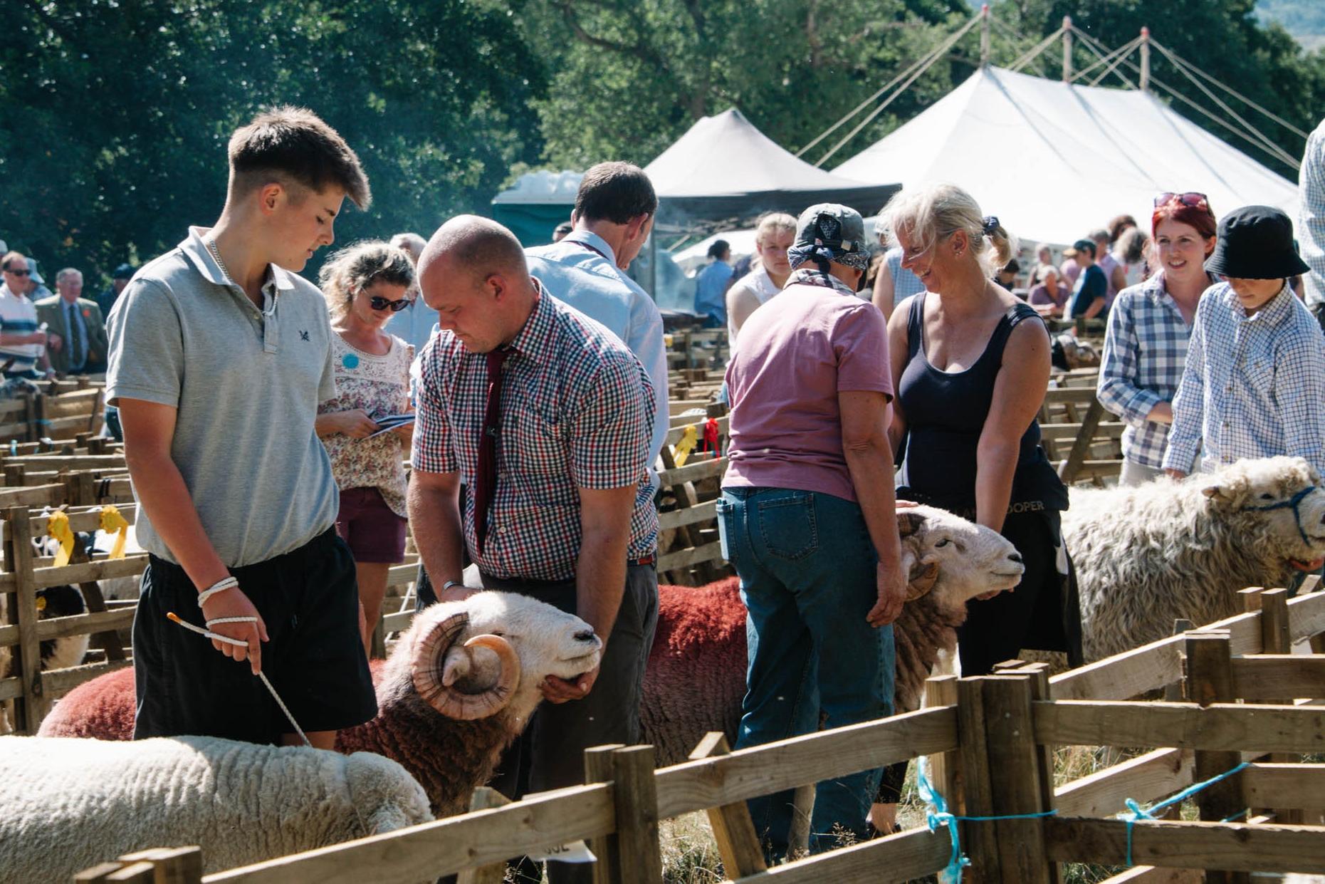 Online entries open for 2026 Farndale Show - and schedules now available