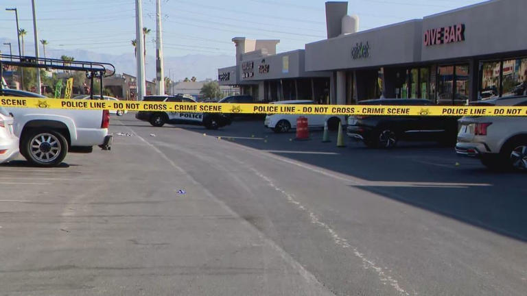 Homicide under investigation near Flamingo, Maryland Parkway