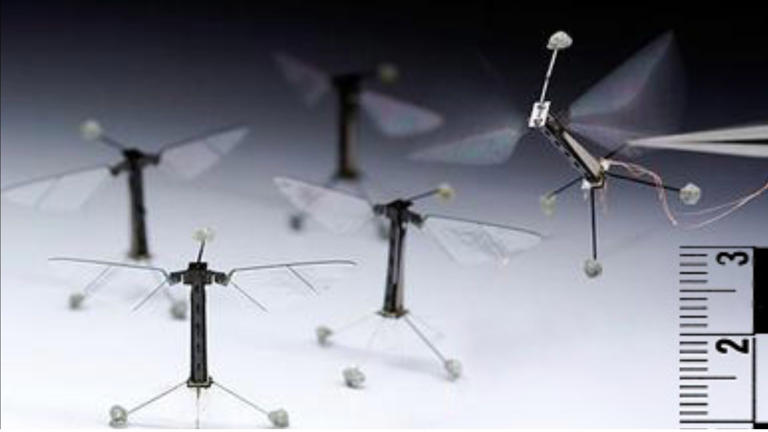 7 animal-inspired robots solving real-world engineering challenges