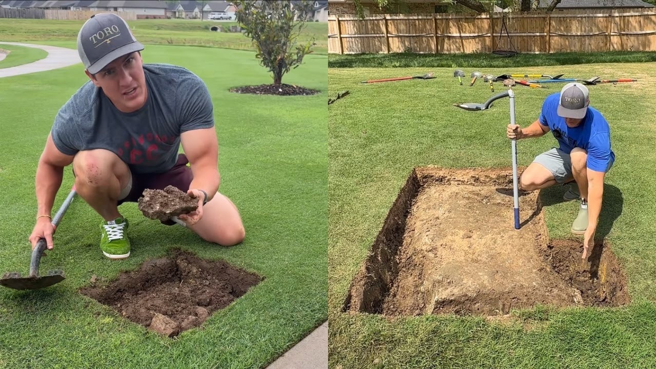 This started as a simple dig to improve my lawn — it didn’t stay that way