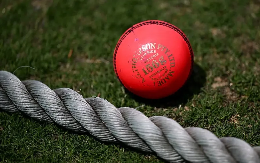 ICC approves pink ball trial in tests to counter bad light