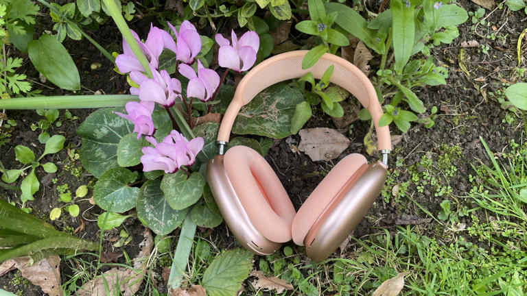 Unsure about AirPods Max 2? New Beats over-ear headphones spotted at ...