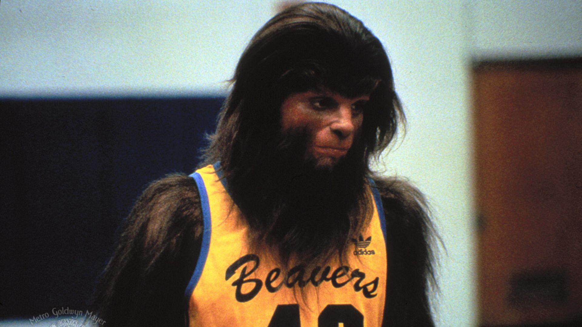 10 essential werewolf movies, ranked