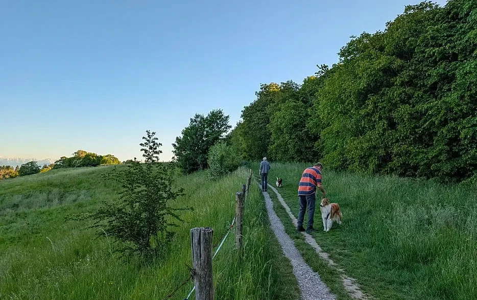 Trail-ready dogs make every hike better