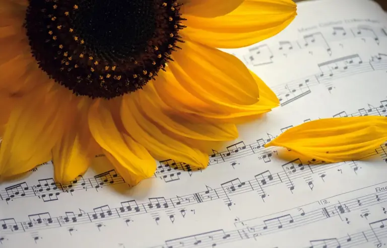 Why Some 4 Songs Just Sound Like Summer