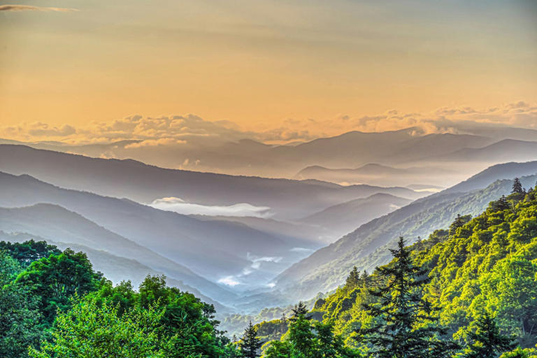 Smoky Mountain magic: Bears, mist and America’s most beloved wilderness