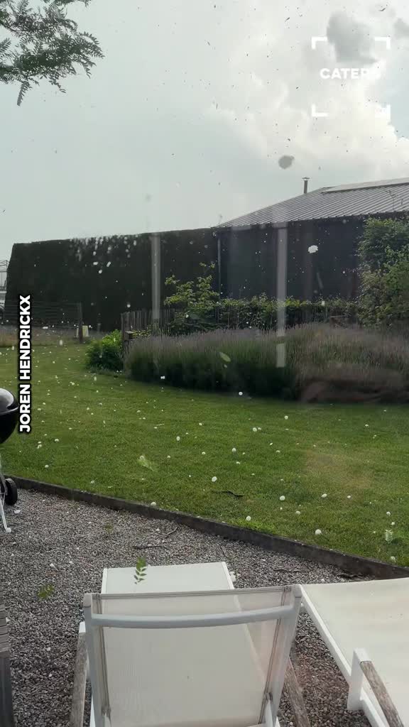 Huge hailstones pummel garden during intense storm in Belgium