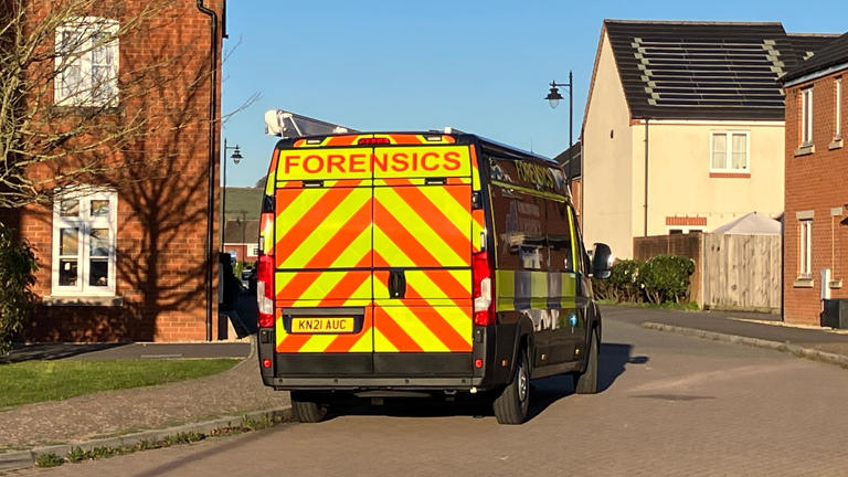 Neighbour heard screaming months before woman's death