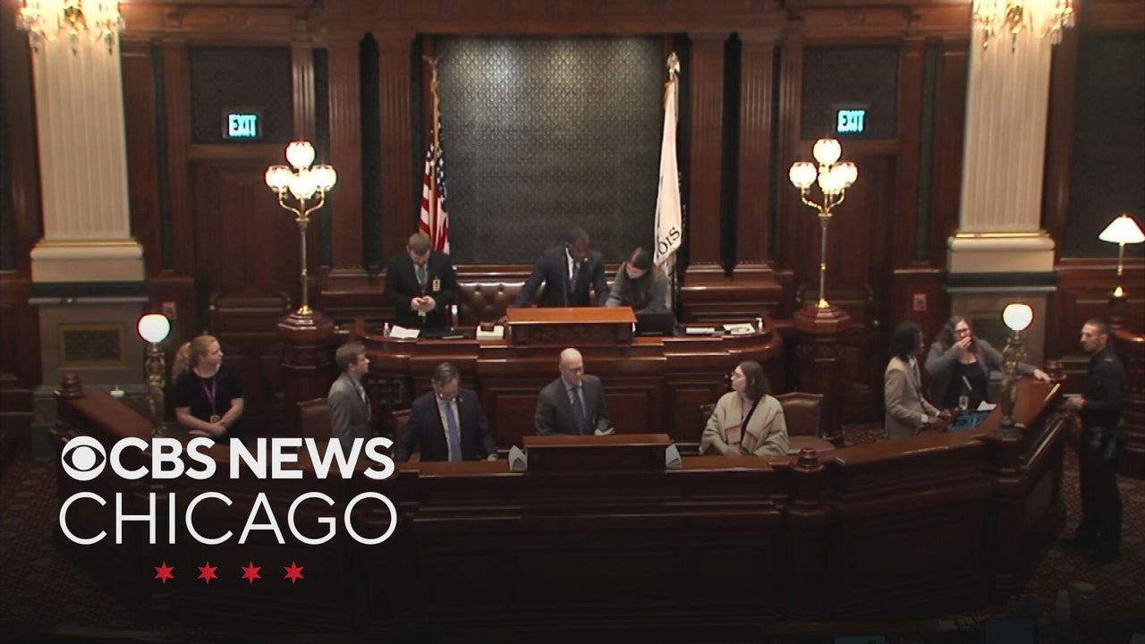 Bill geared toward keeping Bears in Illinois passes Senate, but House ...
