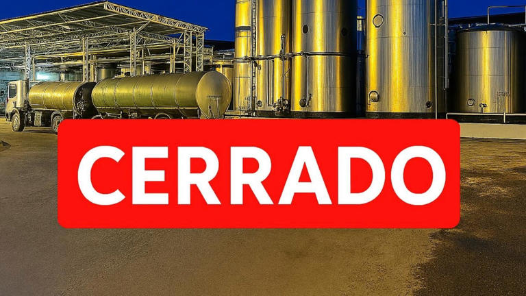 Tras una larga crisis, cerró una histórica fábrica de yogures y flanes ...