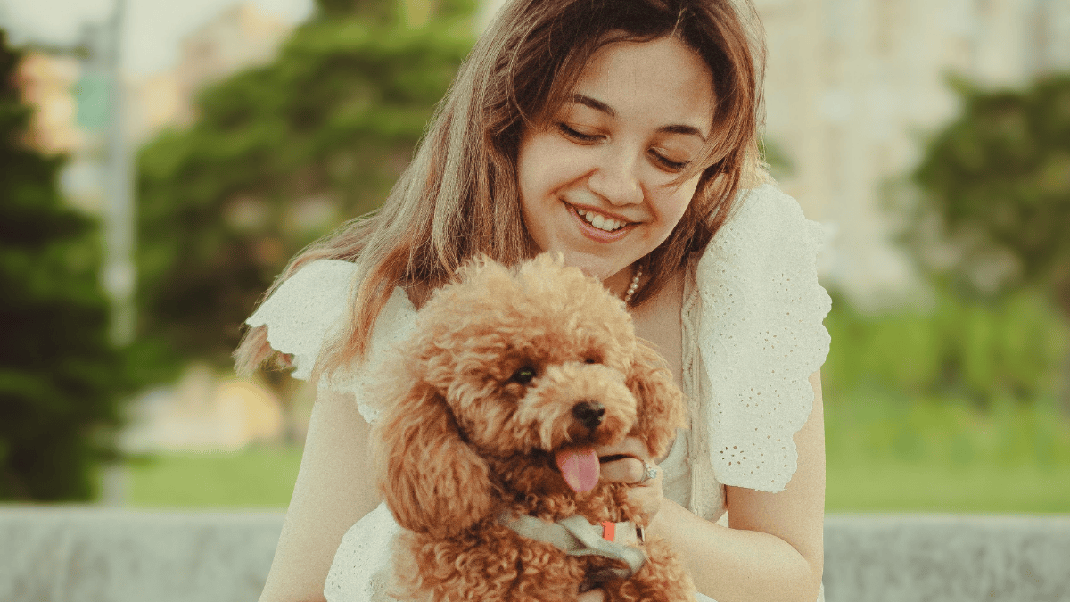 The 10 most emotionally sensitive dog breeds ranked