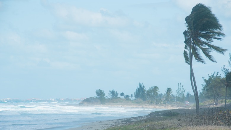 Crucial things to know before taking a Caribbean vacation during ...