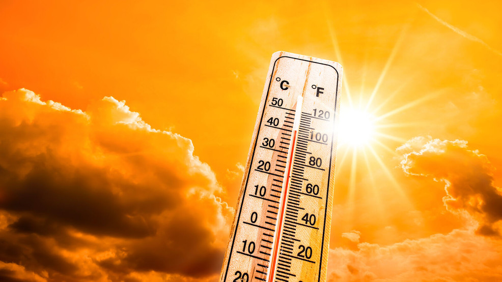 South Carolina DPH issues summer safety tips for roads, cars, e-bikes ...