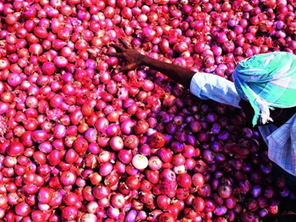 Government raises onion buffer stock purchase price 24% to Rs 15.80/kg