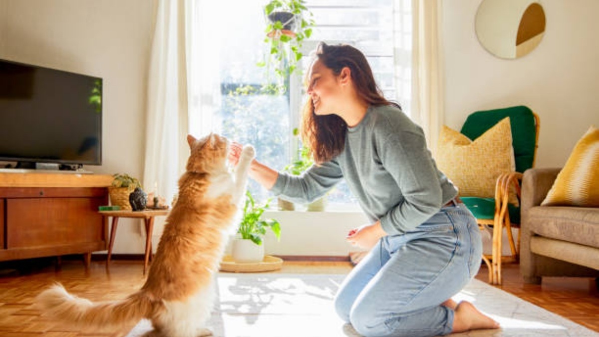 What it really means when your cat follows you from room to room