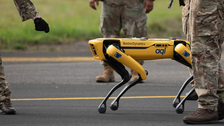 7 animal-inspired robots solving real-world engineering challenges
